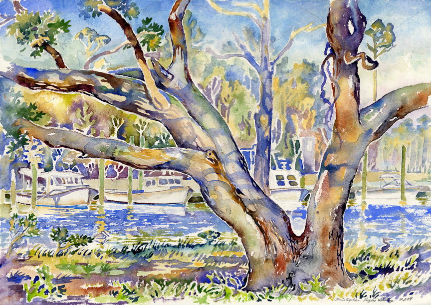Harbor Oak – Christopher Inglis Stebly Art