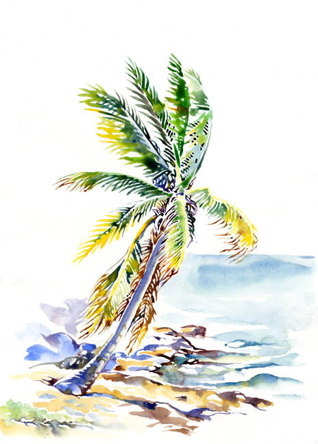 Florida Keys Palm Tree – Christopher Inglis Stebly Art
