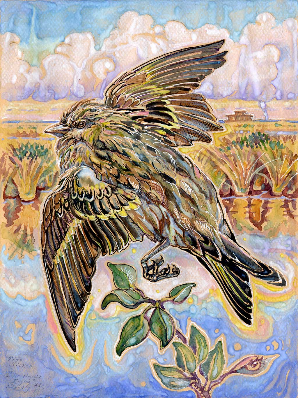 Pine Siskin - Original – Christopher Inglis Stebly Art
