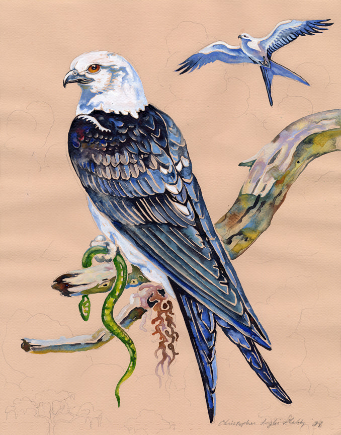 Chris Inglis Tattoos