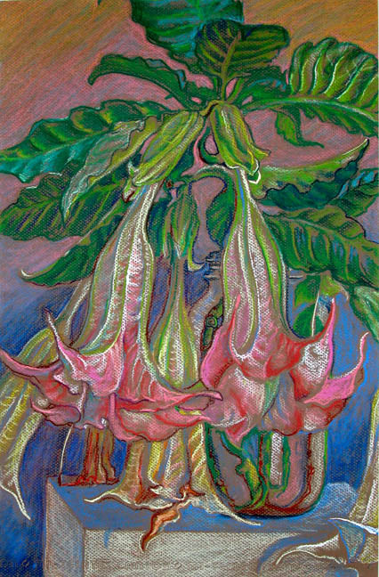 Angel's Trumpets – Christopher Inglis Stebly Art